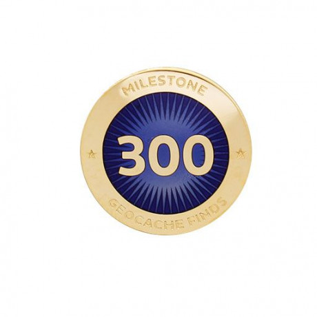 Milestone Pin - 300 fund